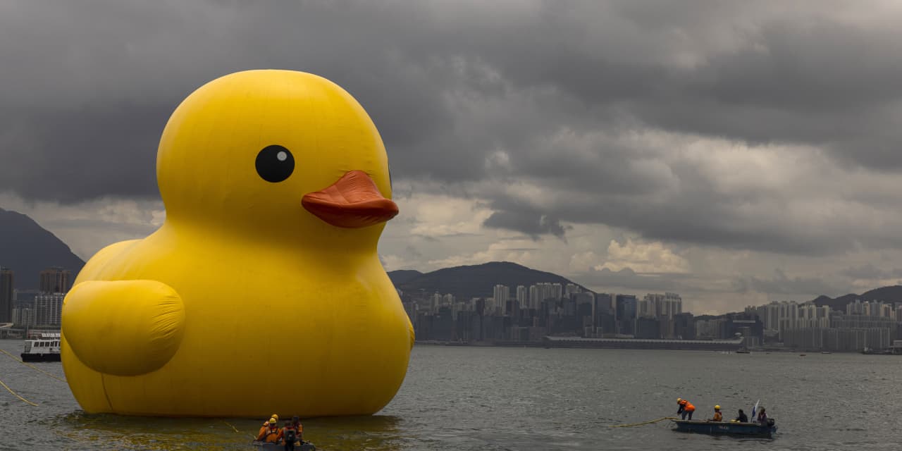 After 10-year absence, giant inflatable ducks return to Hong Kong ...