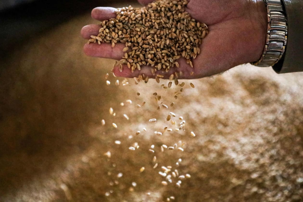 Grain processor Bunge to combine with Glencore-backed Viterra to create ...