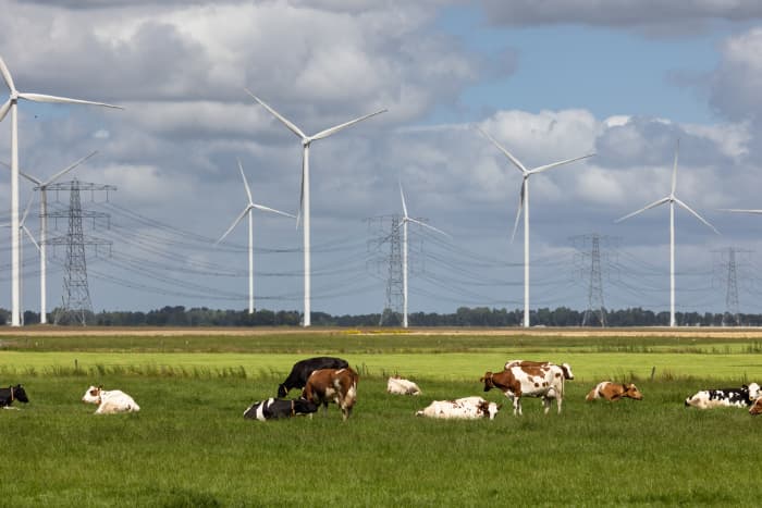 Turning manure into renewable natural gas, AstraZeneca to decarbonize ...