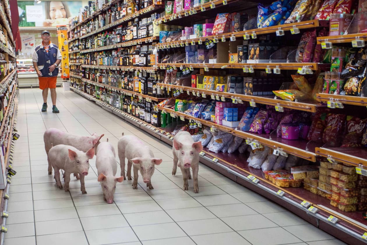 ‘Greedflation’ is replacing inflation as companies raise prices for ...