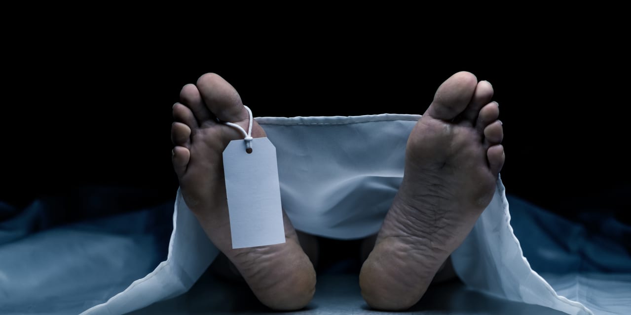 Harvard Medical School morgue manager charged with stealing and selling ...