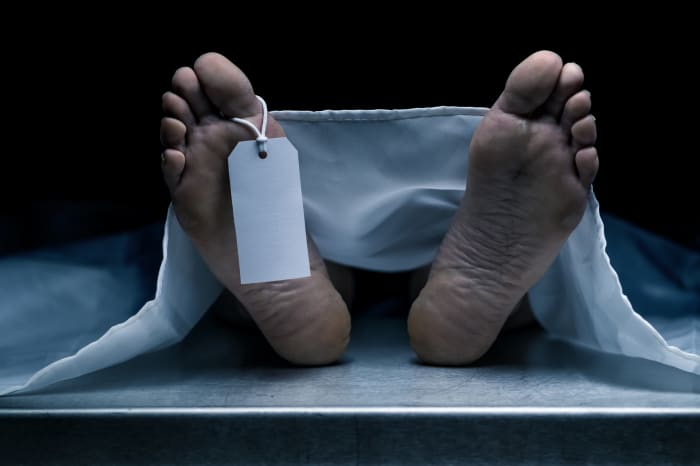 Harvard Medical School morgue manager charged in scheme to sell body ...