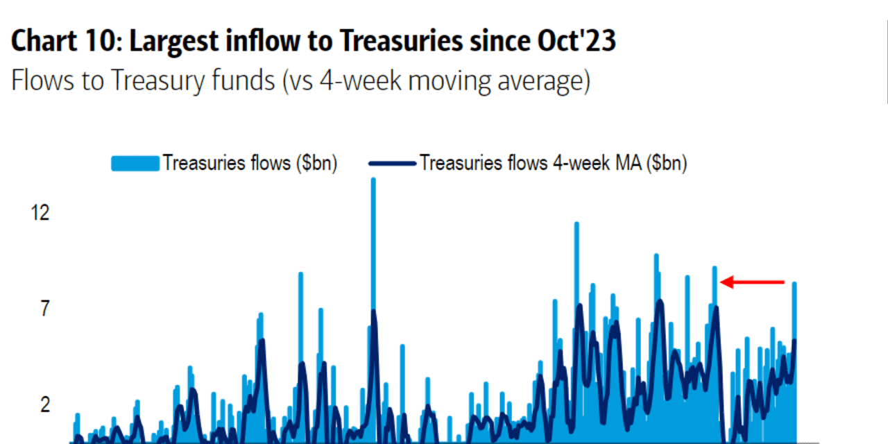 Treasury funds see biggest inflow in 10 months - MarketWatch