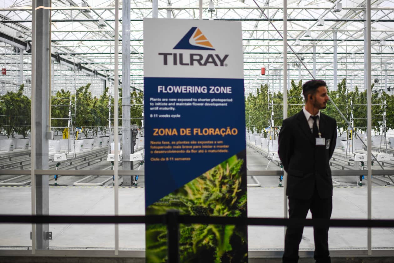 As Tilray buys Hexo, former exec sees more consolidation ahead in ...