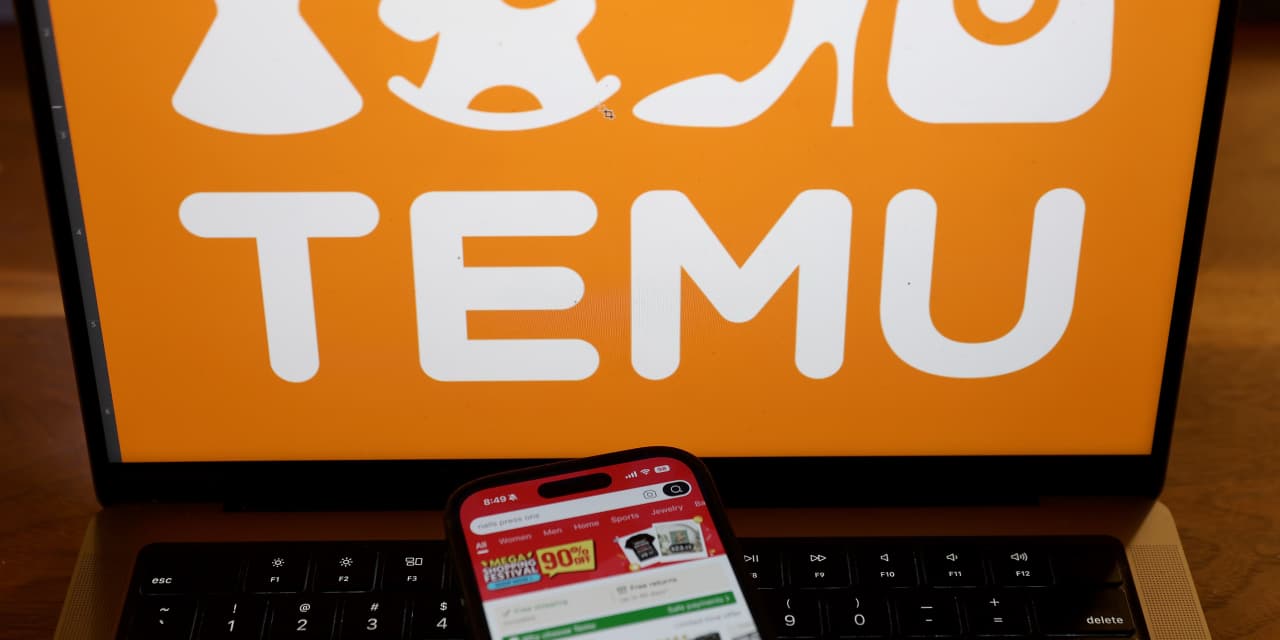 Temu parent is using coupons, lower fees to help smooth the costs of ...