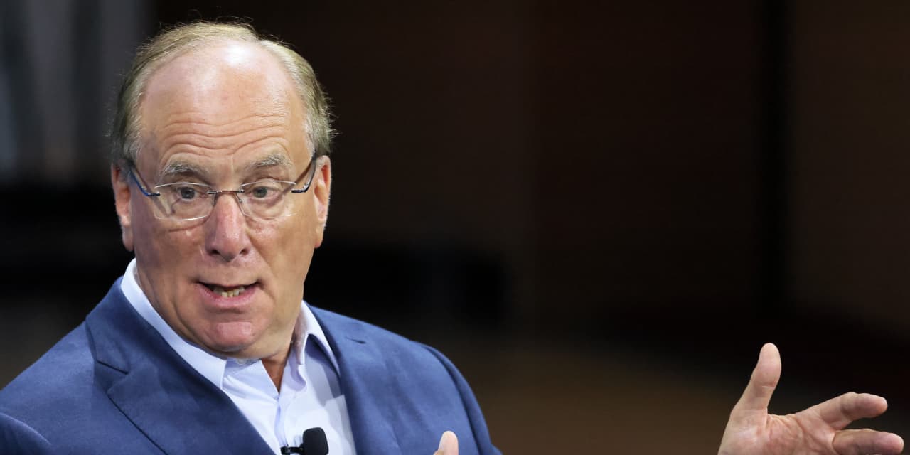 BlackRock CEO Larry Fink compares bitcoin to digital gold as ETF applications at SEC stack up ...