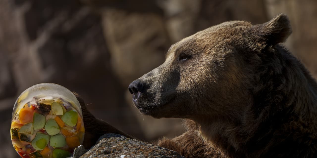 Heat wave ‘Cerberus’ has southern Europe in its grip, and things will ...