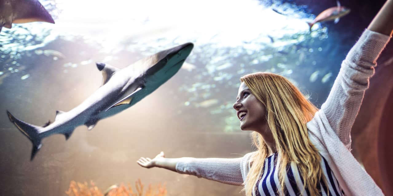 Women are soaring in the real-life ‘Shark Tank’ world of angel ...