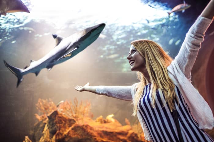 Women are soaring in the real-life ‘Shark Tank’ world of angel ...