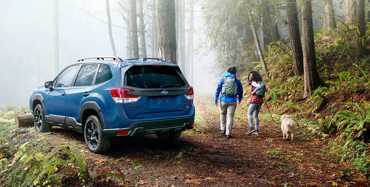 32 car brands ranked by Consumer Reports: Subaru, BMW top the list ...