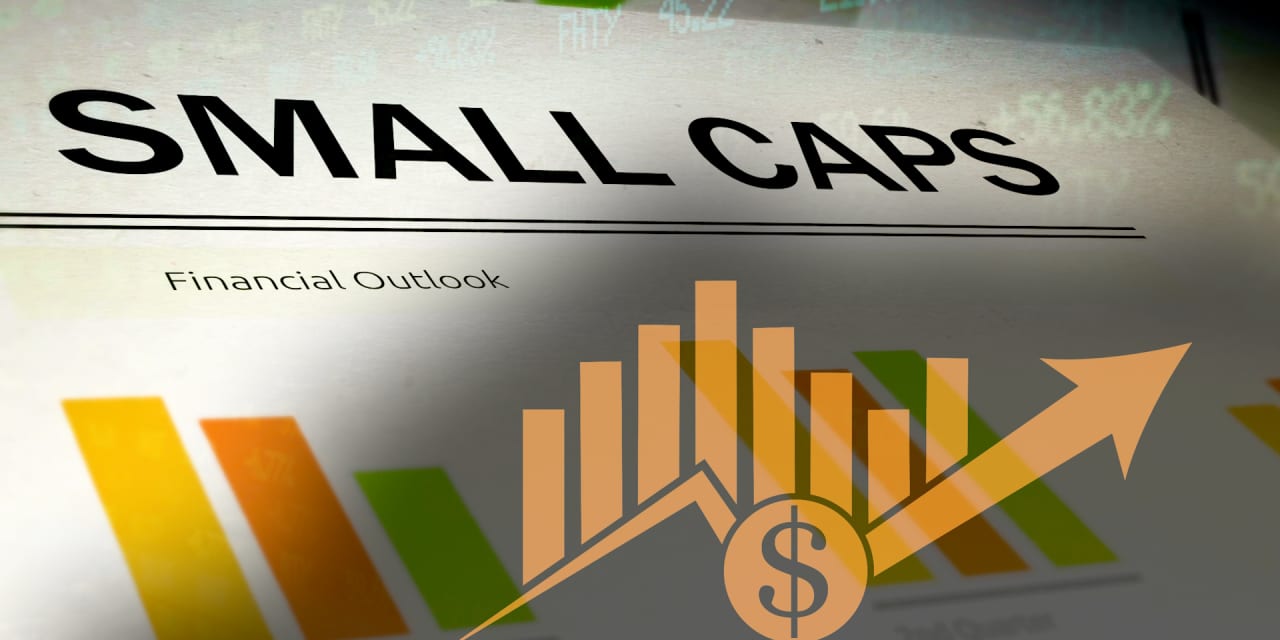 Why small caps have the ‘most compelling investment case’ right now ...