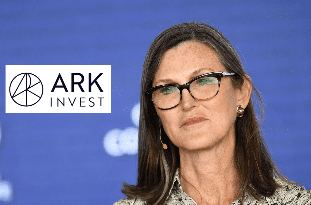 Cathy wood on nio store