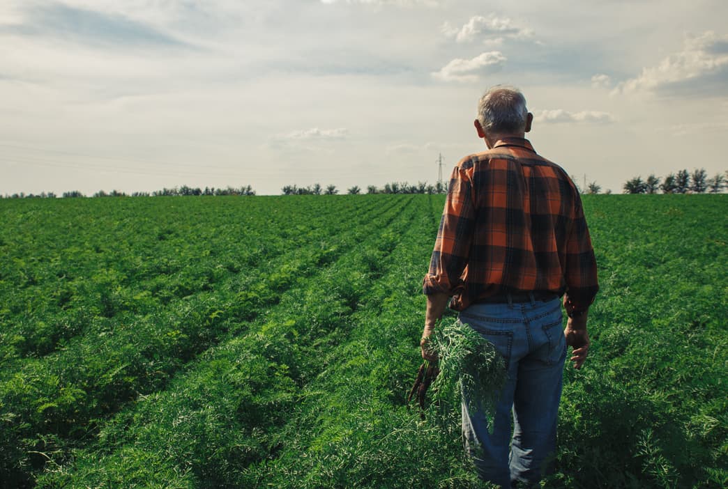 ‘It feels like a nightmare’: My siblings hid our father’s will, which ...