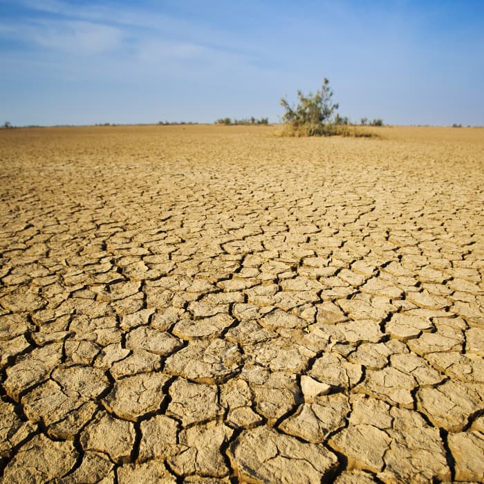 Opinion: Beware the ‘January defect.’ Stocks are now in a bearish ...