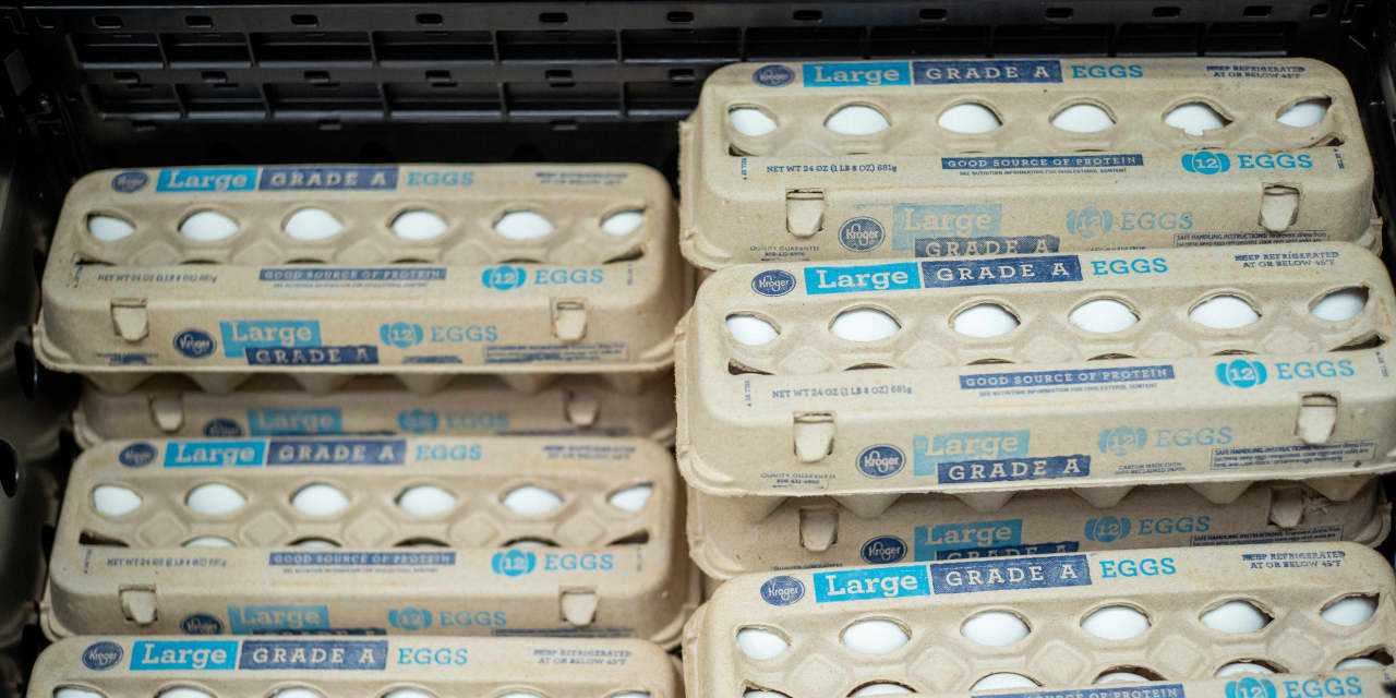 Egg prices boost Cal-Maine’s sales more than 70% higher - MarketWatch