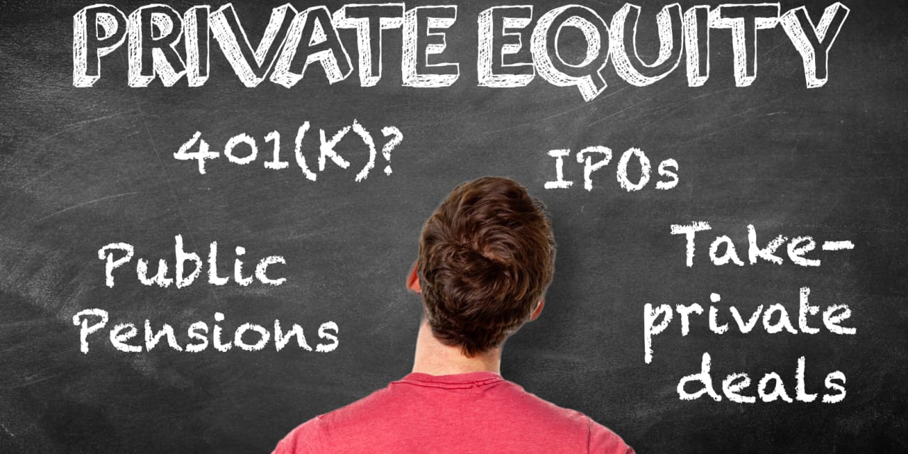 Private equity: Everything you always wanted to know about this $12 ...