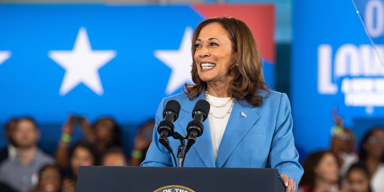 Kamala Harris reveals her plan to fix the housing crisis. Here’s who ...
