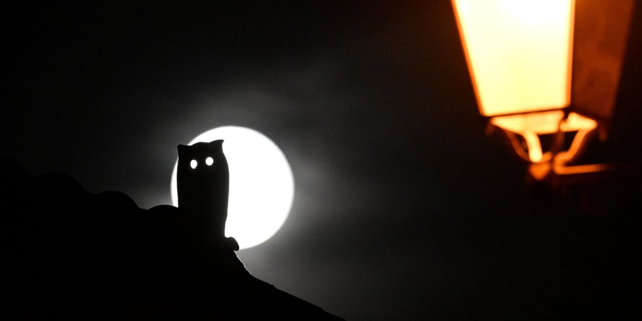 ‘Zombie’ companies already make up 11.5% of U.S. listed stocks ...