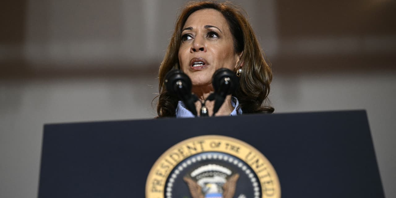 Harris floats bigger tax breaks for startups. Small-business owners ...