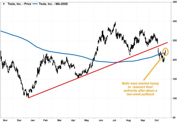 Marketwatch Tesla Tesla Stock Falls. A Departing Exec Says What