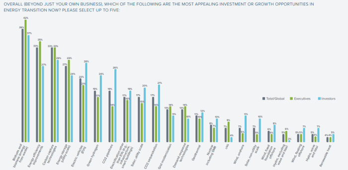 The biggest clean-energy transition challenges -- and investment ...