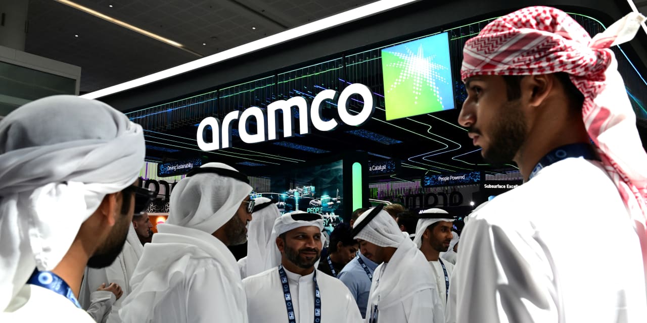 Saudi Aramco chief warns of catastrophic consequence of Hormuz shutdown ...