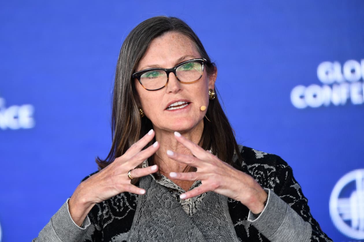 Cathie Wood touts $2,000 Tesla price target, says ‘now is not the time ...
