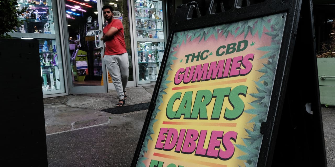 ‘It’s very easy to get fooled’: Two cannabis rivals are raising ...