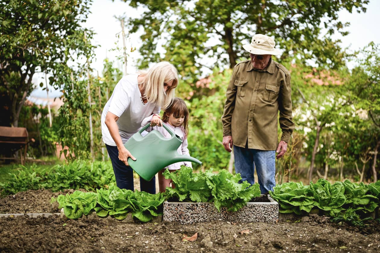 Opinion: Fund a grandchild’s retirement tax-free from birth — if you ...
